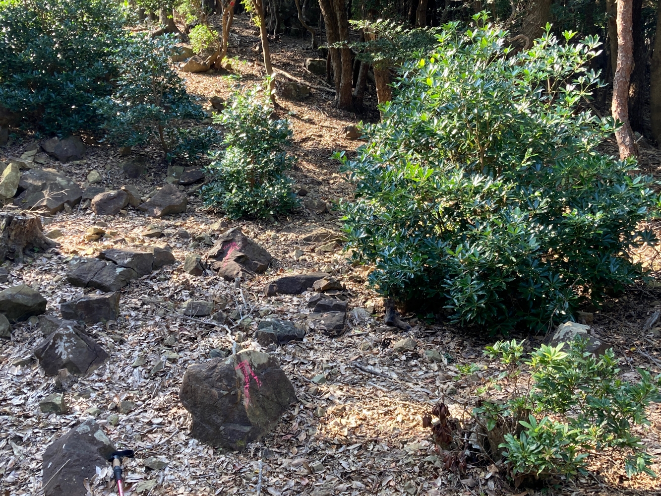 From Toba to Ise, a hike through two sacred mountains | Ise-Shima Hiking